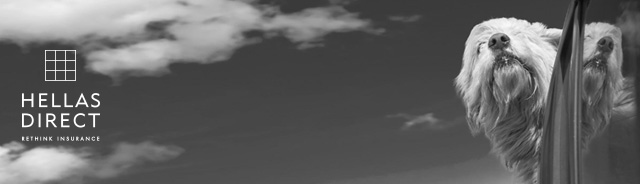 Miles+Bonus Newsletter