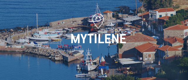 Miles+Bonus Newsletter